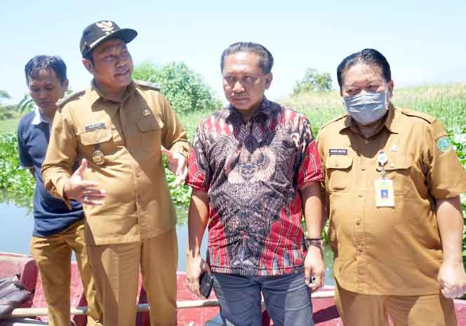 Wabup Subandi Sidak Sungai Tambakrejo yang Viral Dipenuhi Tanaman ...