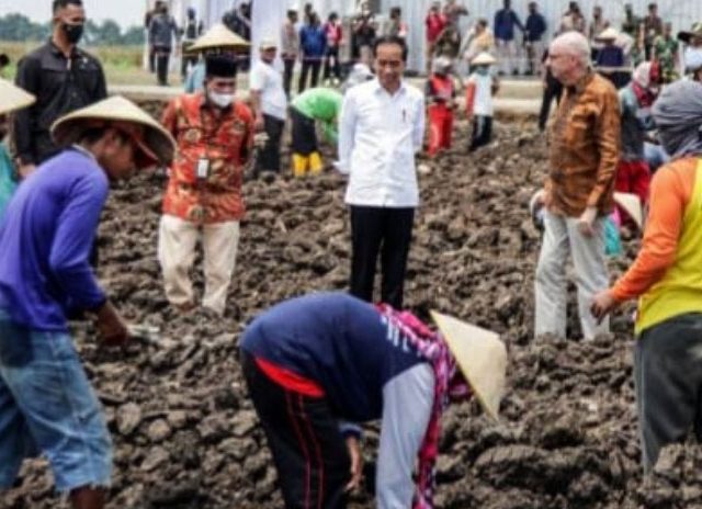 Presiden Jokowi Resmikan Industri Bioetanol Tebu Jatim – Kempalan.com